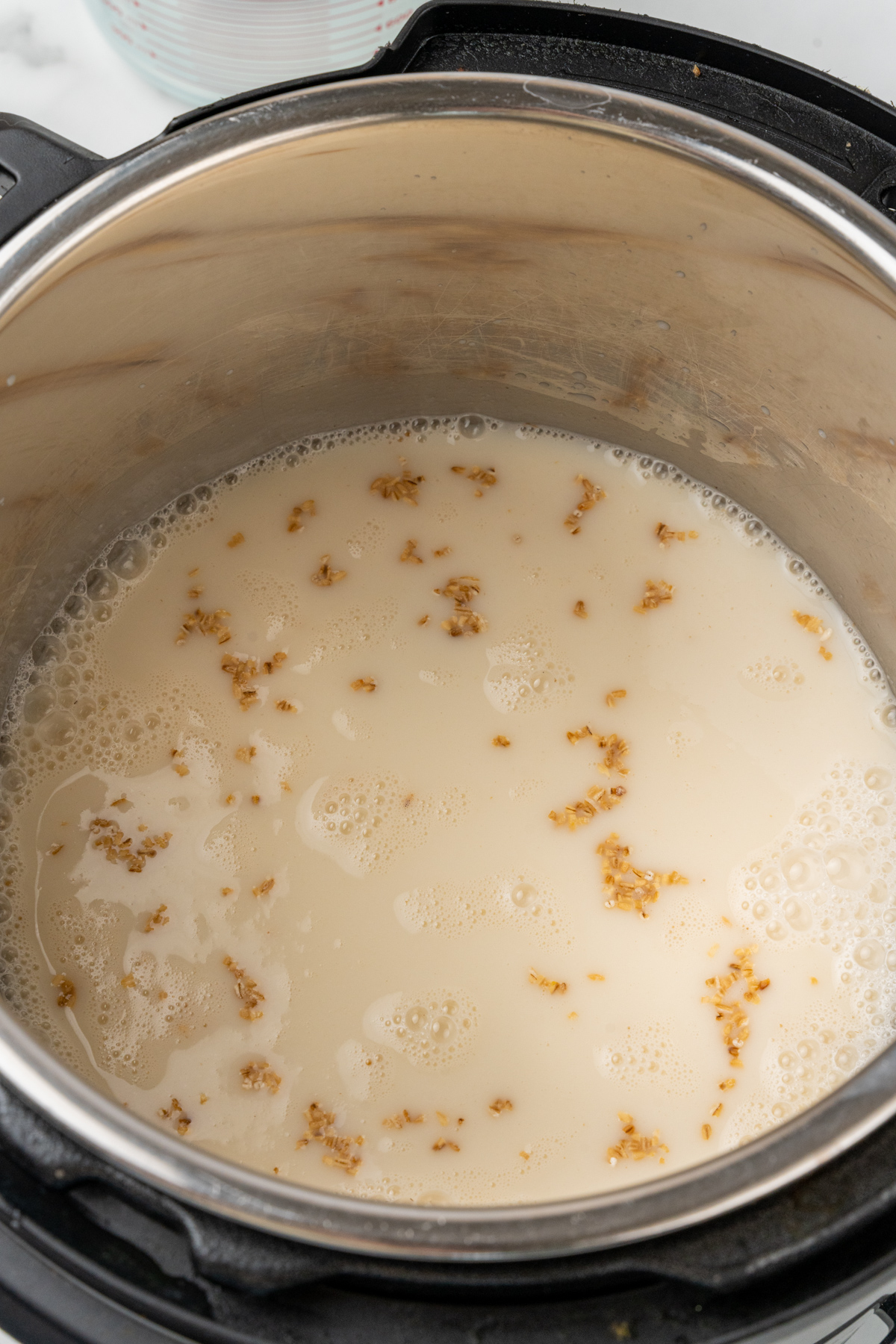 Instant Pot Oatmeal - Simply Oatmeal